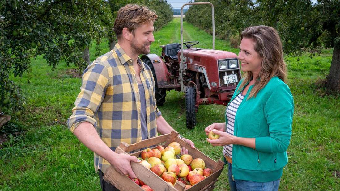 „Neuer Wind im alten Land“: ZDF zeigt neue Folgen noch 2025 - Daily News